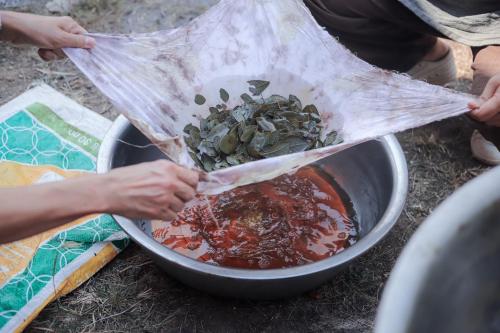 พช.ลำพูน จัดโครงการสนองพระราชดำริฯ สร้างสรรค์การใช้ประโยชน์จากต้นไม้ ...